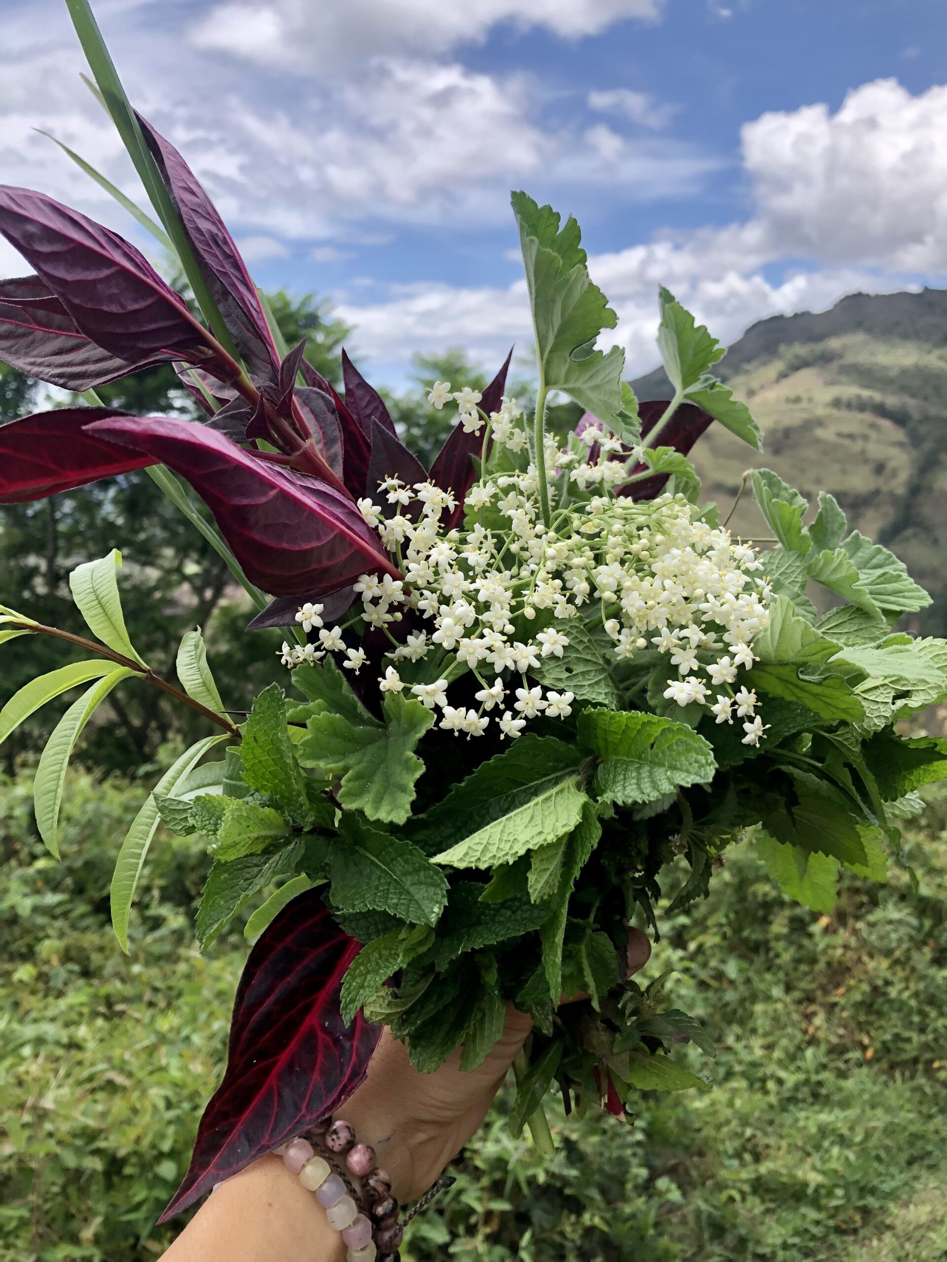 Horchata: A Traditional Ecuadorian Drink – Sierra y Cielo